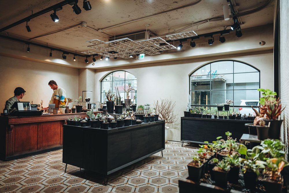 台北新興植栽潮流：0343 Conservatory，與塊根植物的日常絮語｜TRAVELER Luxe旅人誌